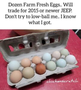15 Hilarious Egg Prices Memes - DotComWomen – Smart Online Income ...