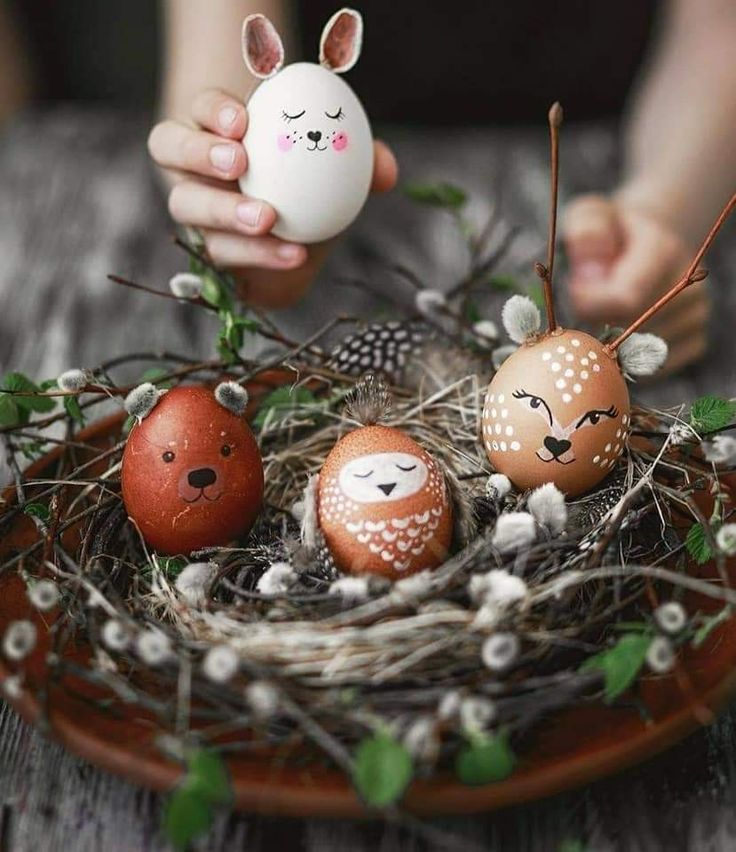 Cute Egg Critters - Easter Egg Decorating - Dot Com Women